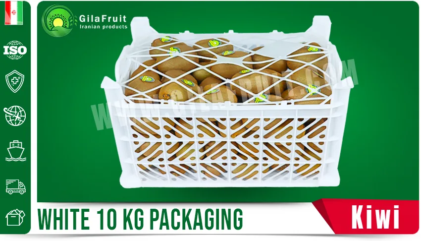 Kiwi 10 Kg Plastic Basket Packaging | GilaFruit