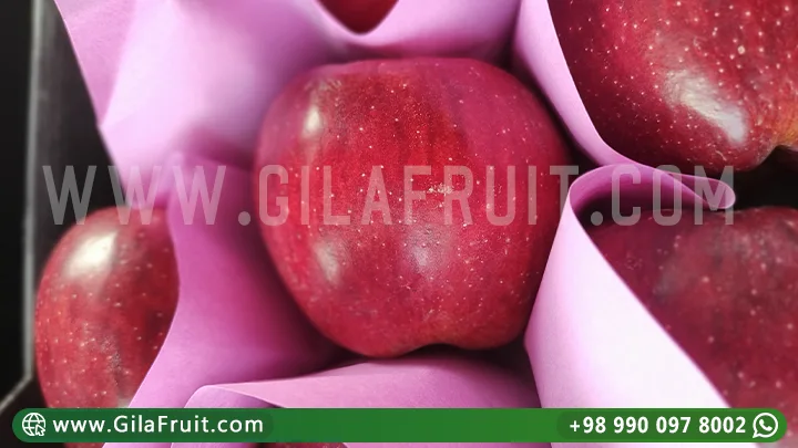 Iranian Export Apples | GilaFruit